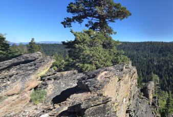 Intermediate Hike Series: Tahoe City to Thunder Cliffs - Tahoe Rim Trail